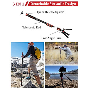 IFOOTAGE Cobra 3 Monopod C180F-P with K5S Fluid Head, Professional Portable Travel Monopod Kit for Canon Nikon Sony Olympus Panasonic DSLR Camera