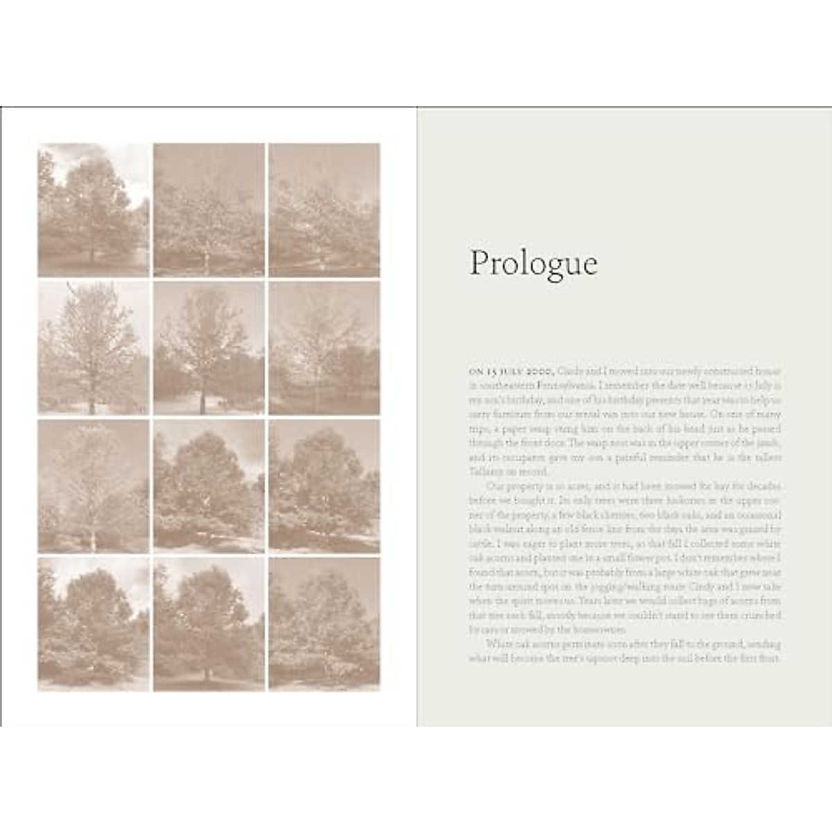 The Nature of Oaks: The Rich Ecology of Our Most Essential Native Trees