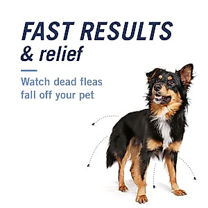 PetArmor CAPACTION (nitenpyram) Oral Flea Treatment for Dogs, Fast Acting Tablets Start Killing Fleas in 30 Minutes, Dogs 2-25 lbs, 6 Doses