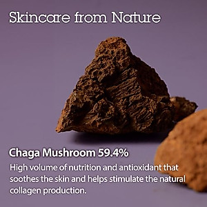 BLITHE Pressed Serum Chaga Mushroom - Advanced Skin Tightening Cream for Face, Face Tightening and Lifting Formula for a Natural Face Lift 1.68oz