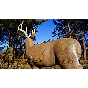 Shooter Buck 3D Deer Archery Target with Replaceable Core, brown