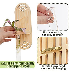 Biubee Plastic Wall Hanging Planter Tubes with Wooden Holders- 4 Set Separate Wall Mounted Propagation Plant Station Stable Hanging Test Tube Vase for Indoor Hydroponics Plants Home Office Decor