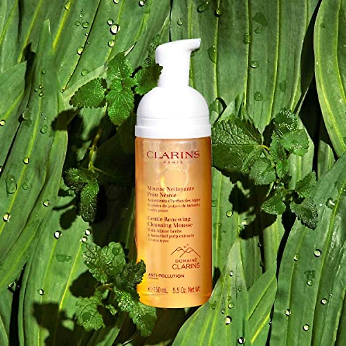 Clarins Gentle Renewing Cleansing Mousse | Cleanses, Gently Exfoliates & Refreshes | Foaming Mousse |Soap-Free|SLS-Free | Dermatologist Tested | Exfoliating Tamarind Pulp Extract Rich In AHAs | 5.5 Oz