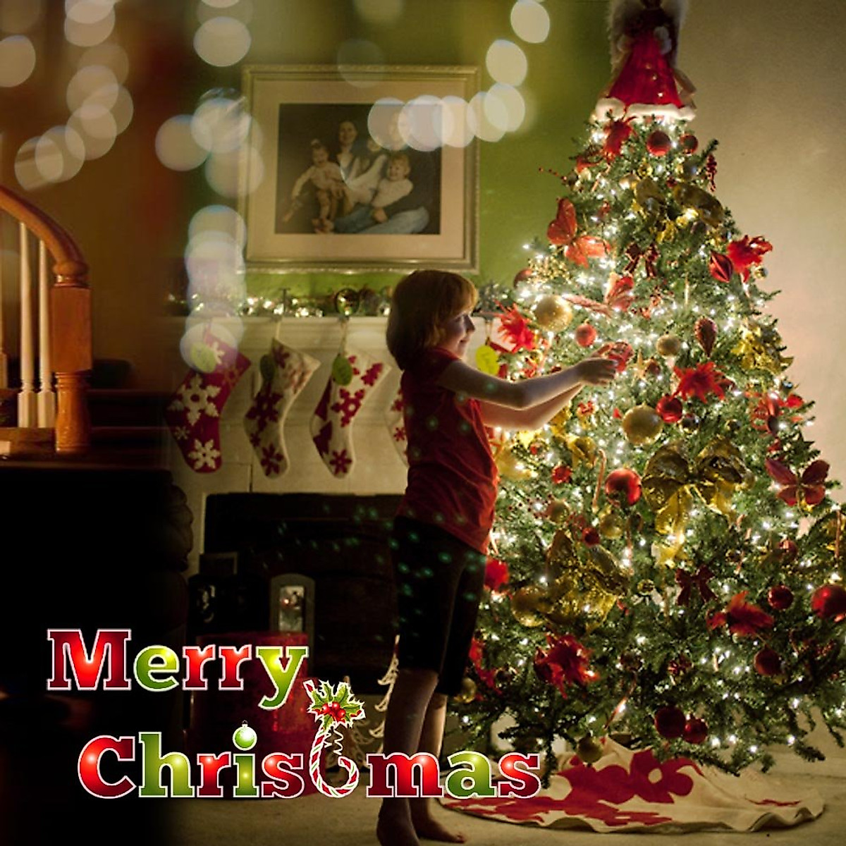 Qedertek 4 Pack Solar String Lights, 72ft 200 LED Solar Lights Outdoor with 8 Lighting Modes Waterproof for Home, Patio, Lawn, Garden, Christmas, Wedding, Party and Holiday Decorations(Cool White)