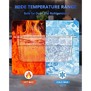 SVKLHY 1/9 Size 4 Inch Clear NSF Polycarbonate Food Pan-9 PCS[Food Grade][Hot&Cold Resistant] Commercial Food Pans with Lids, Restaurant Food Storage Containers Hotel Pan(BPA-FREE)