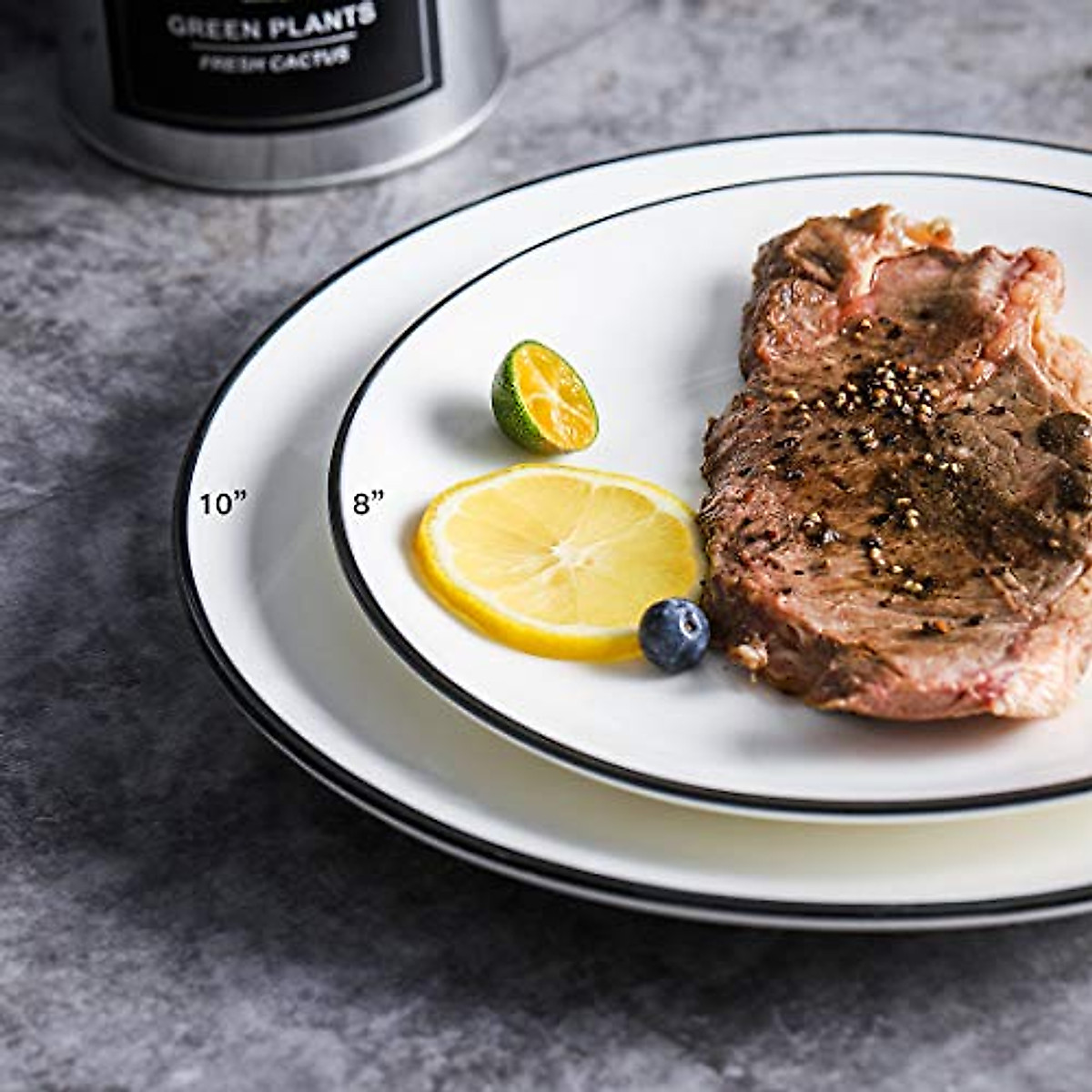 YOLIFE 10 inch Dinner Plate, Set of 4 White and Black Trim Porcelain Plates