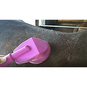 CurryVac Vacuum Powered Horse Curry Removes Hair Dirt and Dander, Massages Coat, Use Like a Soft Brush