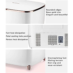REKIRO Mini Fridge Portable Thermoelectric 9 Liter Cooler and Warmer for Skincare, Eco Friendly Beauty Fridge for Foods,Medications, Cosmetics, Breast Milk, Medications Home and Travel