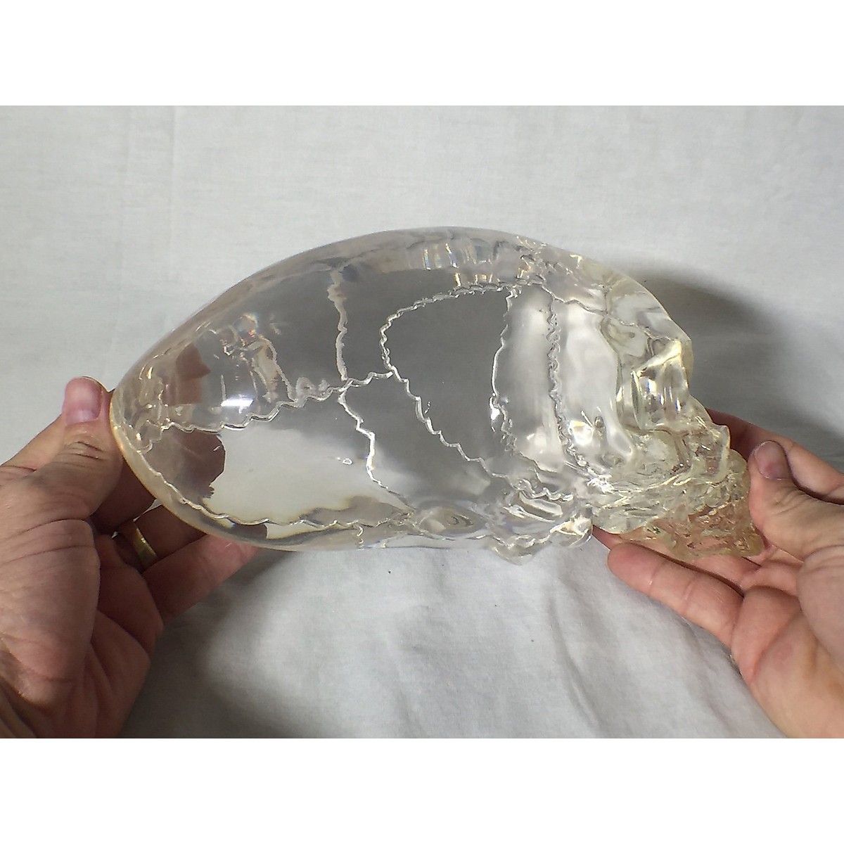 Indy, Alien Crystal Skull Real Prop Replica, Signed, Numbered, Limited Edition
