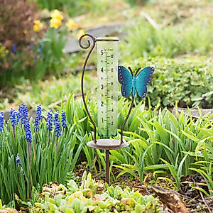 La Crosse 704-4645B Blue 5 inch Capacity Glass Butterfly Rain Gauge with Ground Rod