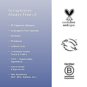 Skylar Indigo Valley Eau de Parfum - Hypoallergenic & Clean Perfume for Women & Men, Vegan & Safe for Sensitive Skin- Woody, Floral Perfume, Blueberry Mocha, Water Lotus & Clearwood - 10mL /0.33 Fl oz