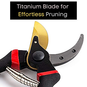 Mr. Pen- Pruning Shears, Garden Shears, 8" Professional, Garden Scissors, Gardening Shears, Garden Clippers, Bypass Pruners, Garden Shears Pruning, Pruning Scissors, Garden Tools, Garden Supplies