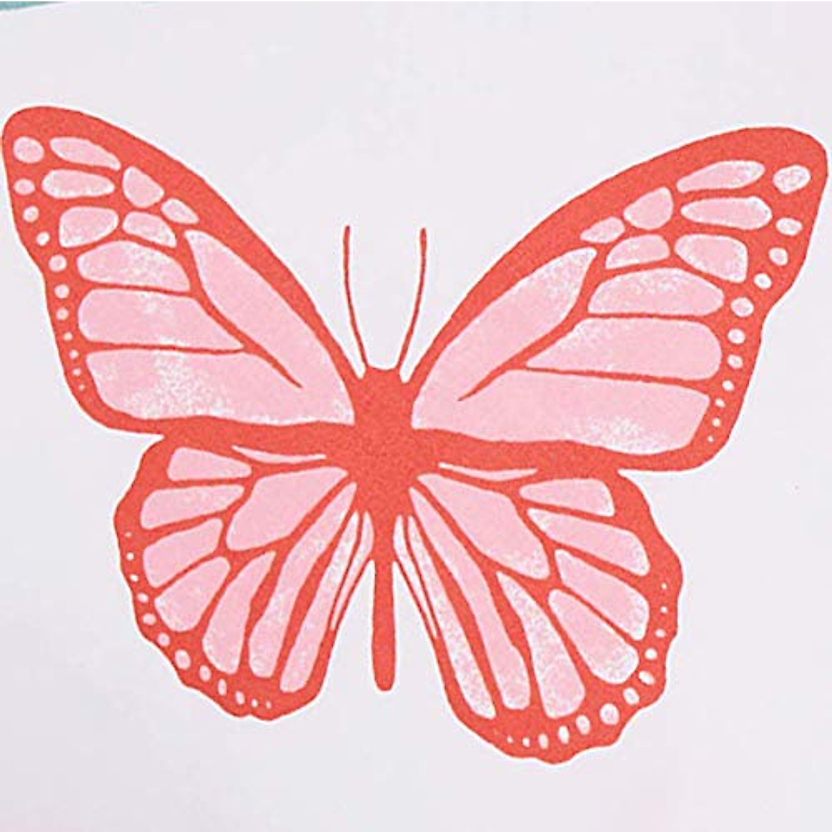 Amazon Basics Kid's Easy Care Microfiber Bed-in-a-Bag Bedding Set, 5-Piece Set, Twin, Butterfly Friends