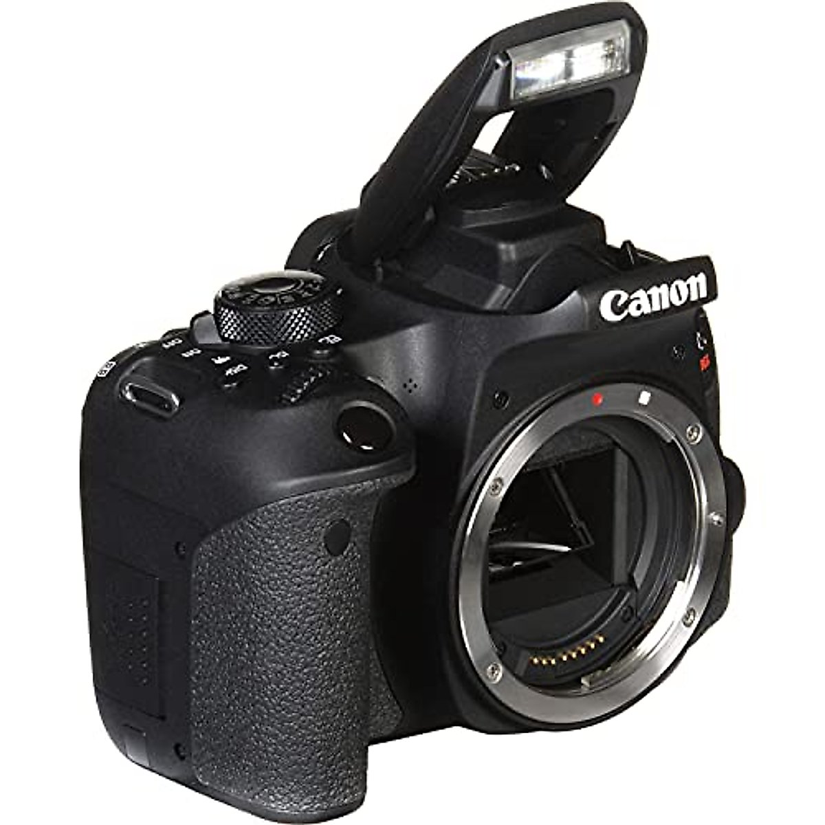 Canon EOS Rebel 800D / T7i DSLR Camera (Body Only) + 64GB Memory Card + Case + Card Reader + Flex Tripod + Hand Strap + Cap Keeper + Memory Wallet + Cleaning Kit (Renewed)