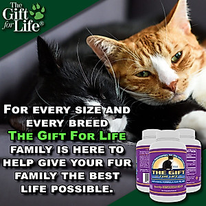 The Gift for Life Feline: Prrr-fect Wellness - Your Pet's Fountain of Youth!