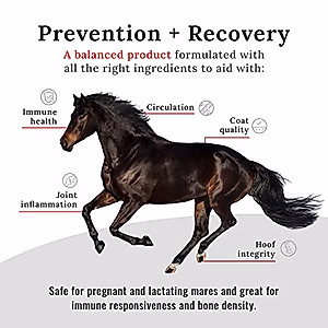 Mojo Joint Horse Supplements, Equine Food Grade Pelleted Supplement, All Natural Joint Care Supplement for Horses, 10 lbs