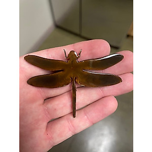 Dragonfly Magnet. Stone Tumbled. Designed and Manufactured in The USA.