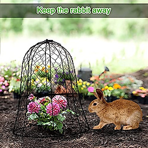 PREMILITY (5 Packs) 13" Diameter x 15.7" Height Garden Chicken Wire Cloche, Plant Protector and Cover, Strong and Not Easy to Deform, No Assembly Required