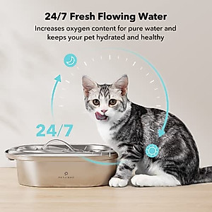 PETLIBRO 4/8 Pack Replacement Filters for Stainless Steel Cat Water Fountain 67oz/2L and 101oz/3L, Adjustable Water Flow Pet Fountain, Super Quiet Dog Water Dispenser