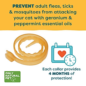 Only Natural Pet EasyDefense Flea & Tick Cat Collar - Feline Flea Collars Flea and Tick Control - Pet Flea Care That Protects up to 4 Months - for Cats (Single)