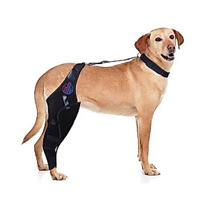 Tkcuteface Dog Knee Brace for ACL, Knee Cap Dislocation, Arthritis - Full Wrap - Easy Adjustable - Extra Support - Reduces Pain and Inflammation – Full Sizes (Medium), Black