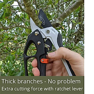 Heavy Duty Ratchet Pruner with Carbide Sharpener and Oil Sponge. These anvil style pruning shears double your cutting strength. Great for seniors or anyone with thick branches to cut. By Truly Garden