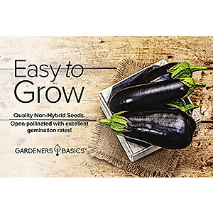 Eggplant Seeds for Planting - Black Beauty Solanum melongena is A Great Heirloom, Non-GMO Vegetable Variety- 300 mg Seeds Great for Outdoor Spring, Winter and Fall Gardening by Gardeners Basics