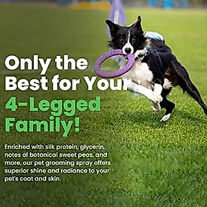 Best Shot UltraMAX Pro Finishing Spray, 17 oz