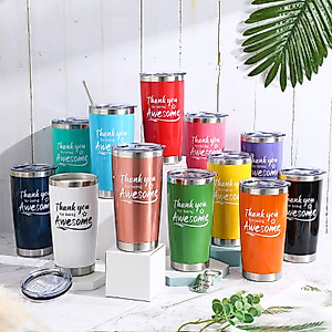 Sieral Thank You for Being Awesome Tumbler,Thank You Gifts for Women Men 20oz Insulated Stainless Steel Travel Tumbler with Lid and Straw Appreciation Gift with Keychain (Multicolor, 24 Pieces)