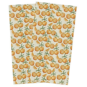MUENINELE Dish Cloths Kitchen Towels, Orange Fruit Print Vintage Farmhouse Style Dishcloths Soft Reusable Cleaning Cloths Absorbent Dish Towels for Household Cleaning, 2 Pack, 18"x28"
