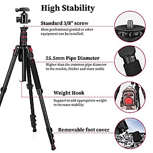 Tripod for Camera, Victiv 81 inch Professional Camera Tripod Monopod, Aluminium DSLR Tripod Heavy Duty for Travel with 360 Degree Ball Head and Phone Mount, Compatible with Canon Nikon Sony