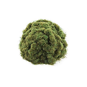 War World Scenics Static Grass Starter Kit 2 – Modelling Model Railway Railroad Wargame Layout Scenery Terrain Landscape Diorama Materials Track All Gauges