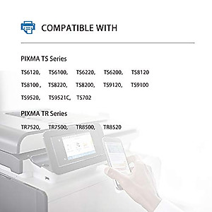 TEINO Compatible Ink Cartridges Replacement for Canon 280 PGI-280 XL PGI-280XXL use with Canon PIXMA TS9120 TR8520 TS8220 TS6220 TS6120 TR7520 TS9520 TS8120 TR8500 TS9100 TR7500 (PGBK, 2-Pack)