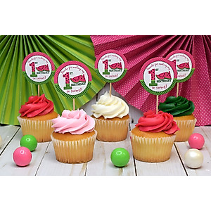 Pink Watermelon 1st Birthday Party Thank You Sticker Labels, 40 2" Party Circle Stickers by AmandaCreation, Great for Party Favors, Envelope Seals & Goodie Bags