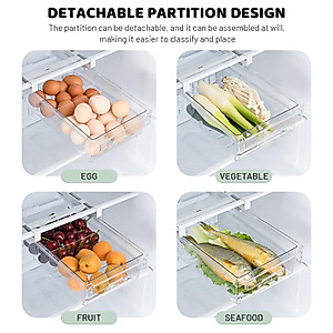 CESHRR Fridge Organizer Drawer, Refrigerator Drawer Organizer, Pull Out with Handle,Pull Out Shelf Storage Transparent Organizer for Egg,Fruit,Vegetable,Seafood,Beef-4 compartments