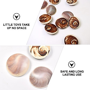 Scicalife 100g Sun Shell Fossil Stone Paleontology Fossil Stones Specimen Ornaments for Basic Paleontology Biological Science Education