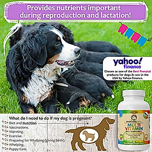 Prenatal Dog Vitamins – Multivitamin for Dogs and Cats with Folic Acid, Minerals and Amino Acids. Ideal for Pregnant, Breast Feeding and Newborn Pets – Senior Dog Supplement, Complete Puppy Vitamins.