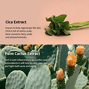 YADAH Silky Fit Concealer BB Power Brightening 1.18 Ounce 21 Light Beige, 2 in 1 Base Makeup Natural Ingredients Foundation Cream