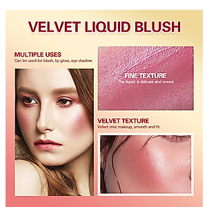 Liquid Blush, Matte and Dewy Finishes Cream Blush Stick for Cheek, Lightweight, Long-Wearing, Smudge Proof, Natural-Looking, Easy to Blend Blusher Makeup (#01)