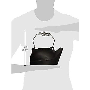 Panacea Products 15321 Humidifying Iron Kettle