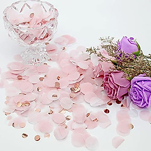 Round Tissue Confetti Glitter,Rose Gold Pink White Paper Tissue Confetti Dots for Wedding Birthday Party Decorations,1.76oz