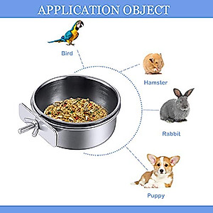 HERCOCCI Bird Feeder Dish Cup, Stainless Steel Parrot Food Bowl Feeding Coop Cups Clamp Holder, Bird Water Cage Bowl for Parakeet Lovebird Conure Cockatiel Budgie Chinchilla (4 Pieces)