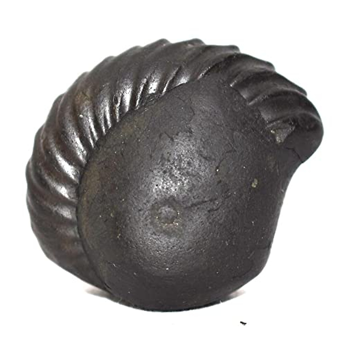 Dhumavati Shaligram/Adwaitya Golden Dhumavati Dasha MahaVidya Shaligram, Fossil, Fossil