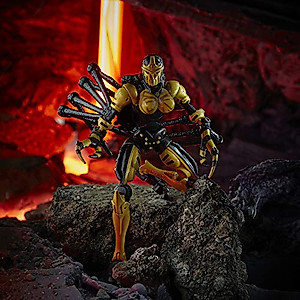 Transformers Toys Generations War for Cybertron: Kingdom Deluxe WFC-K5 Blackarachnia Action Figure - Kids Ages 8 and Up, 5.5-inch