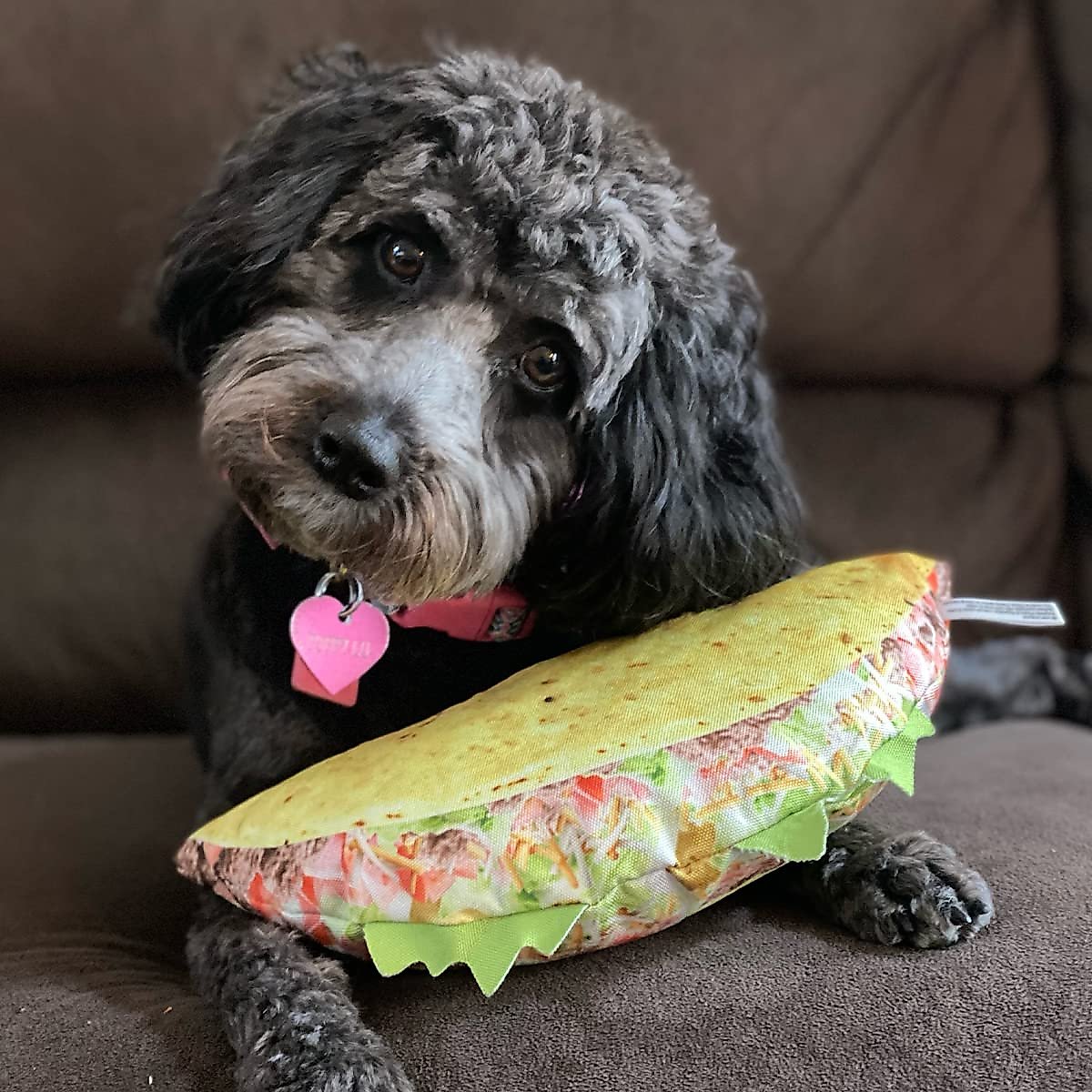 Doggijuana | Refillable Catnip Dog Toy | Naturally Calming | Catnip Grown in The USA (Taco)