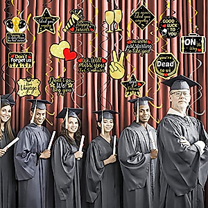 30Pcs Farewell Party Decorations Hanging Swirls Set Black Gold Going Away Party Decorations We Will Miss You Swirls Decor for Goodbye Retirement Office Party Supplies