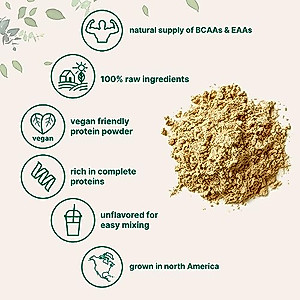 Micro Ingredients North American Grown, Pea Protein Powder, 5 Pounds | Plant Based, Unflavored | Complete Vegan Protein Source – 27g Serving | Rich in BCAAs & EAAs | Non-GMO, Keto Friendly