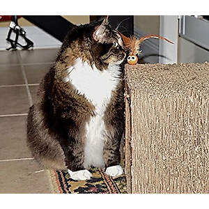 Bouncy Tails 5 Pack Interactive Bouncy Ball with Natural Feathers for Indoor Cats and Kittens who Love to Play and Have Fun.