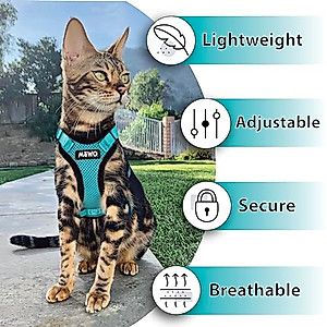Mewo Cat Harness and Leash - Escape Proof, Soft, Comfortable, Reflective, & Adjustable, for a Safe & Snug Fit (Aqua Marine, Small)