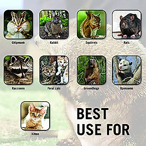 HOMESTEAD Heavy Duty Live Trap - Professional Style One-Door Live Animal Traps for Rabbit, Squirrel, Possum, Skunk, Kitten, Mink